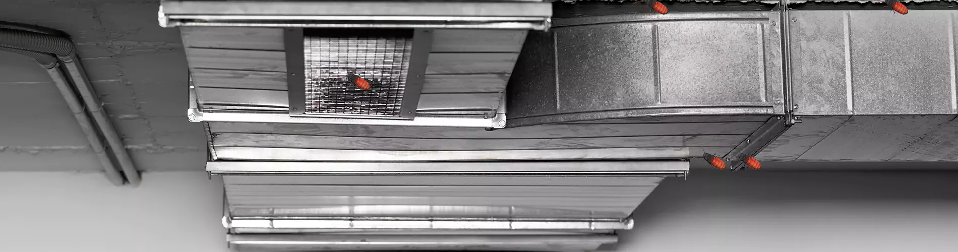 Air Duct Cockroach Removal in Dallas, TX - Air Duct Pest Control